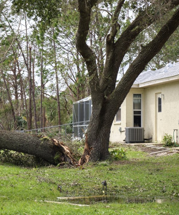 Expert Winter & Storm Preparation Services for the Outer Banks